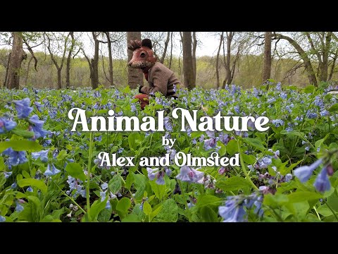 Animal Nature - Short Puppet Film with Masks