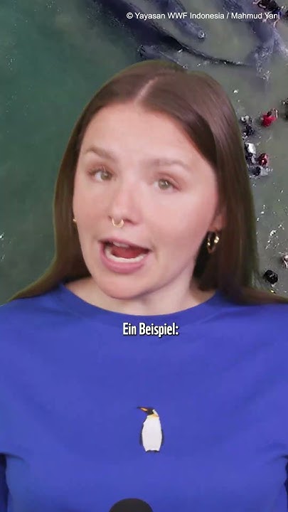 🐳🆘 Warum stranden immer mehr Wale weltweit? 🐳🆘 - YouTube