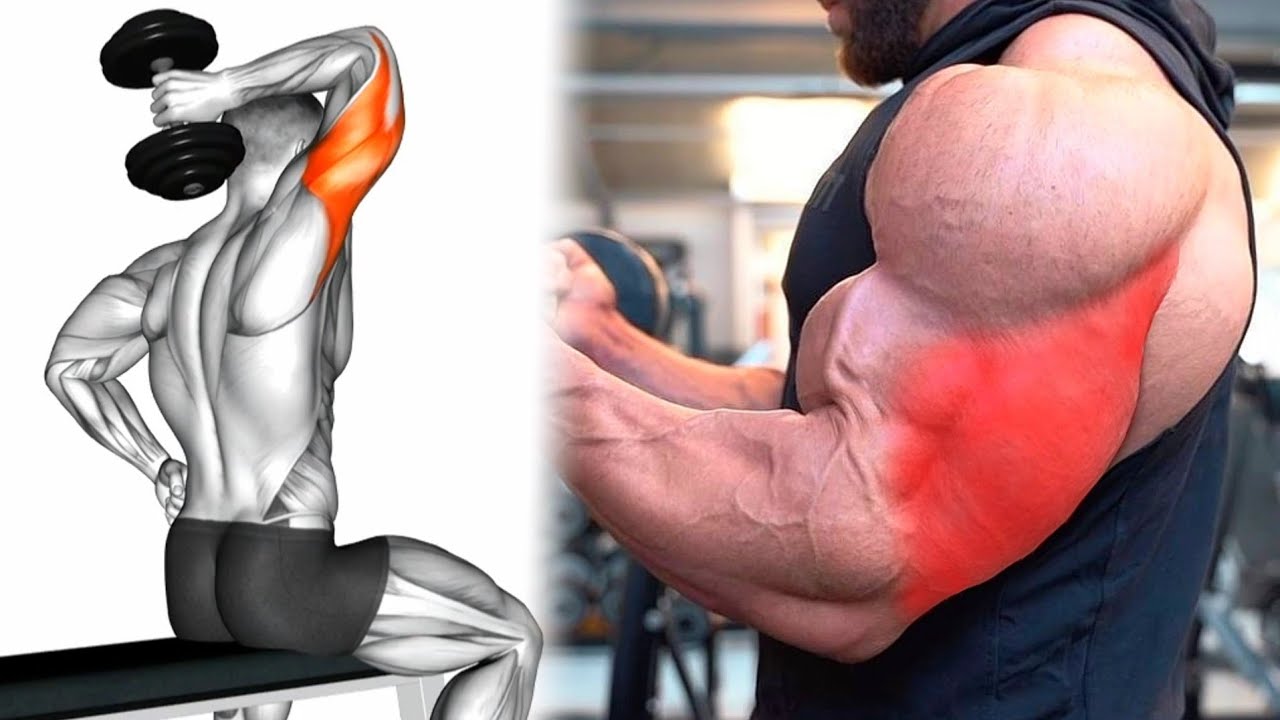 5 Massive Big Triceps Exercises With Dumbbells At Home - Arm Workout ...