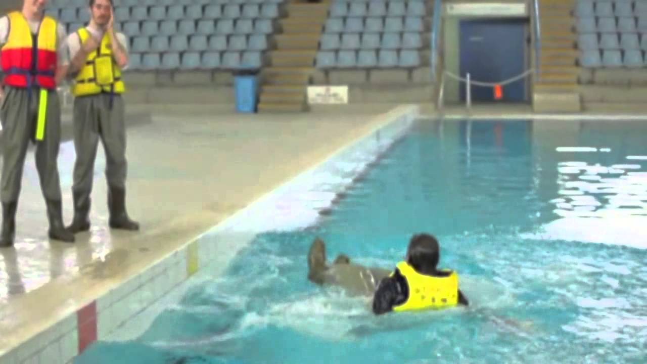 STT Wader Safety - YouTube