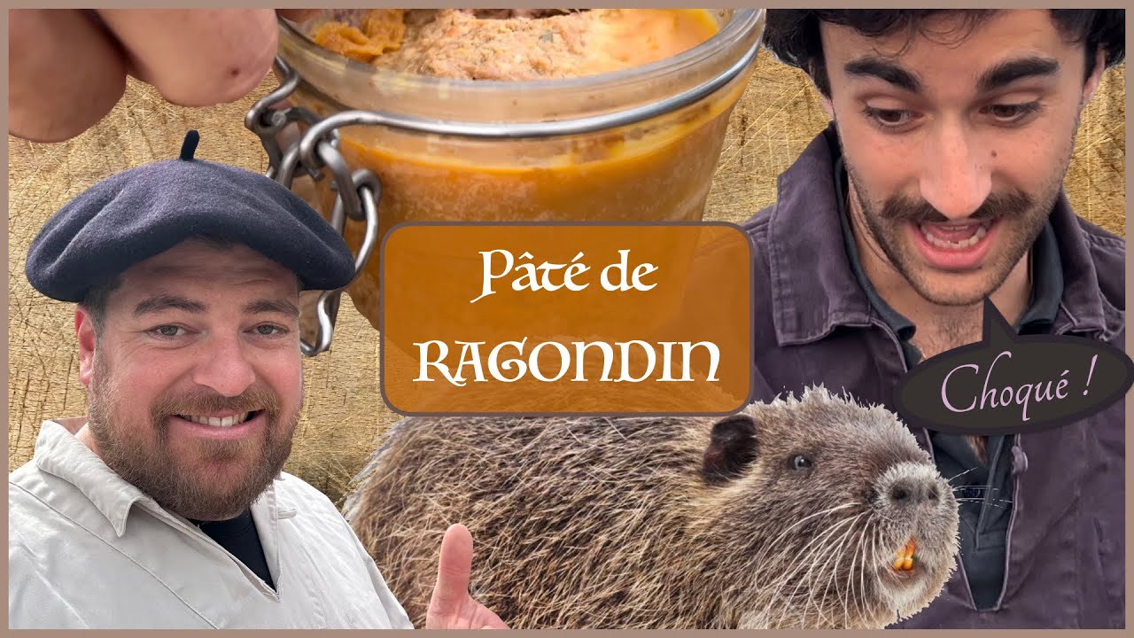 Cuisiner du RAGONDIN 🦫 - YouTube