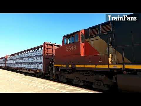 Manifest Train CN 8862, CN 2268 & CN 2649 Locomotives Sarnia Ontario - YouTube