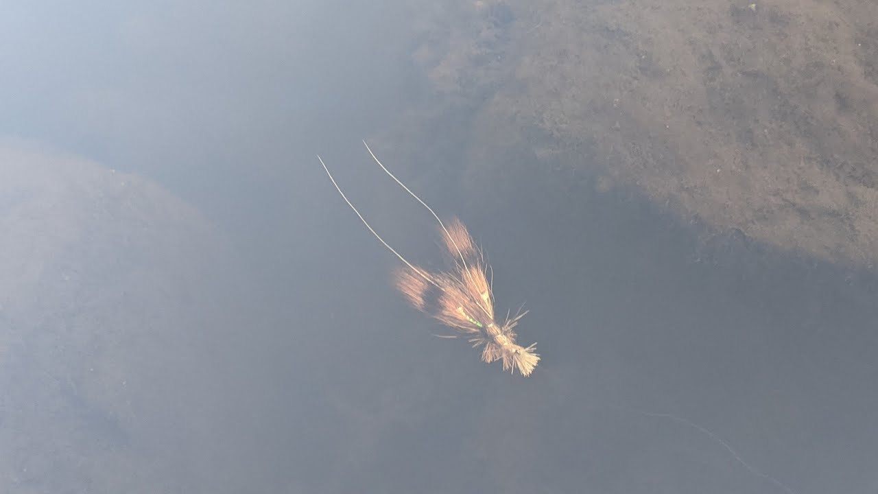 fly fishing fly patterns: crayfish - YouTube