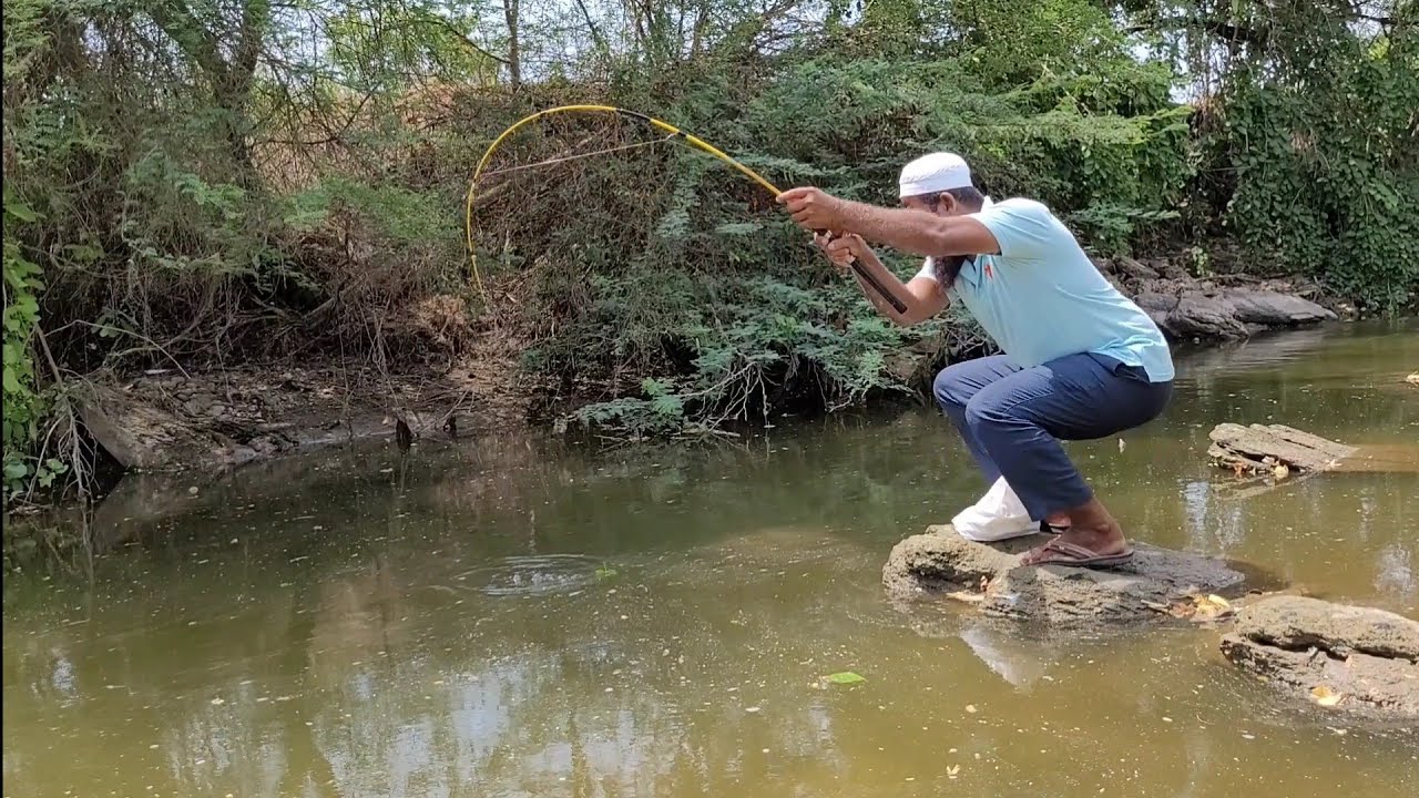 Baam Fishing|Fisher Man Catching The Indian Eel Fishes|Awesome Fishing ...
