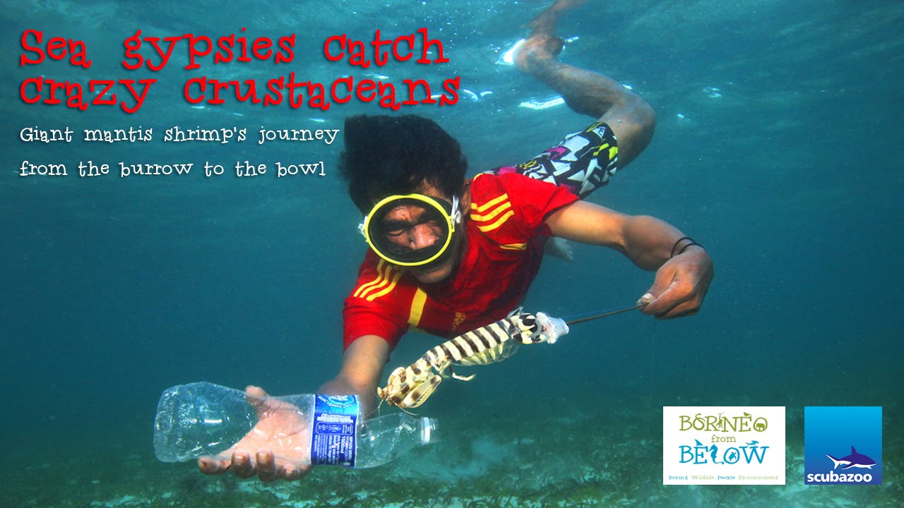 Sea Gypsies Catch Crazy Crustaceans! | Borneo from Below (S01E04) - YouTube
