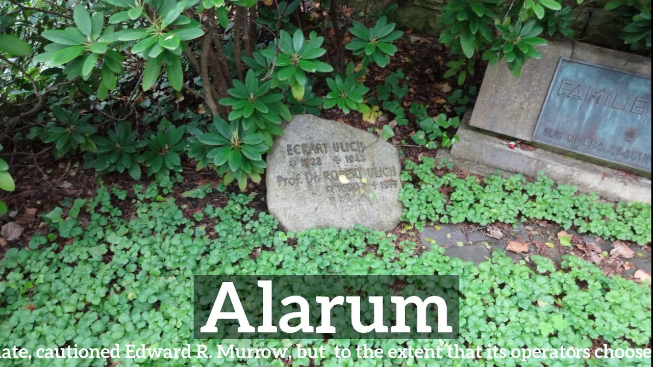 How Does Alarum Look? | What is Alarum? | How to Say Alarum in English ...