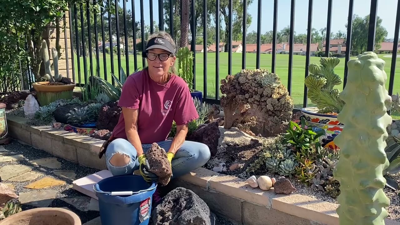 Hot Mess Unfolds Before Your Eyes In My Vista Garden🤦‍♀️😂 - YouTube