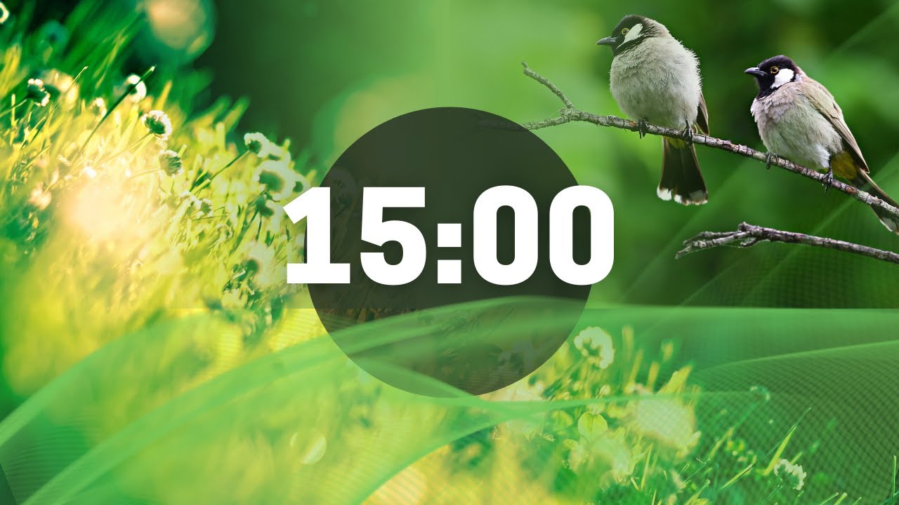 Nature Sounds / Bird Signing. 15 Minute Relaxing Timer - YouTube