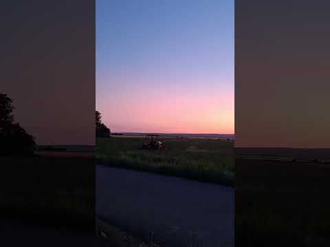 Culori (la apus) - YouTube