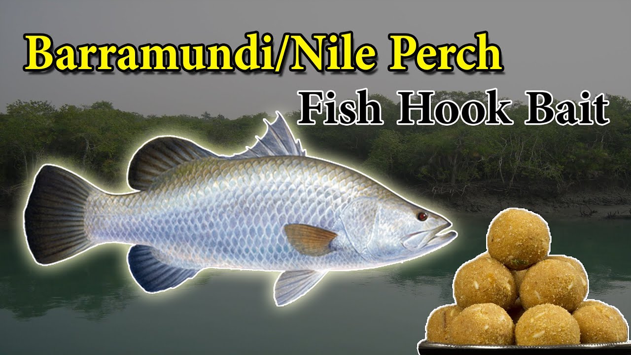 Hook Bait Part 4 for Vetki Fish - YouTube