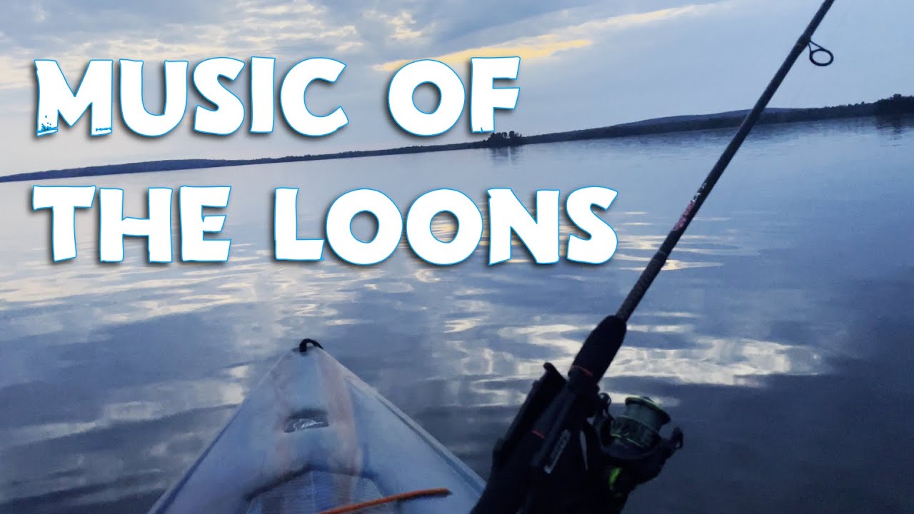 The Beautiful Music of Loons on the Lake #loons - YouTube