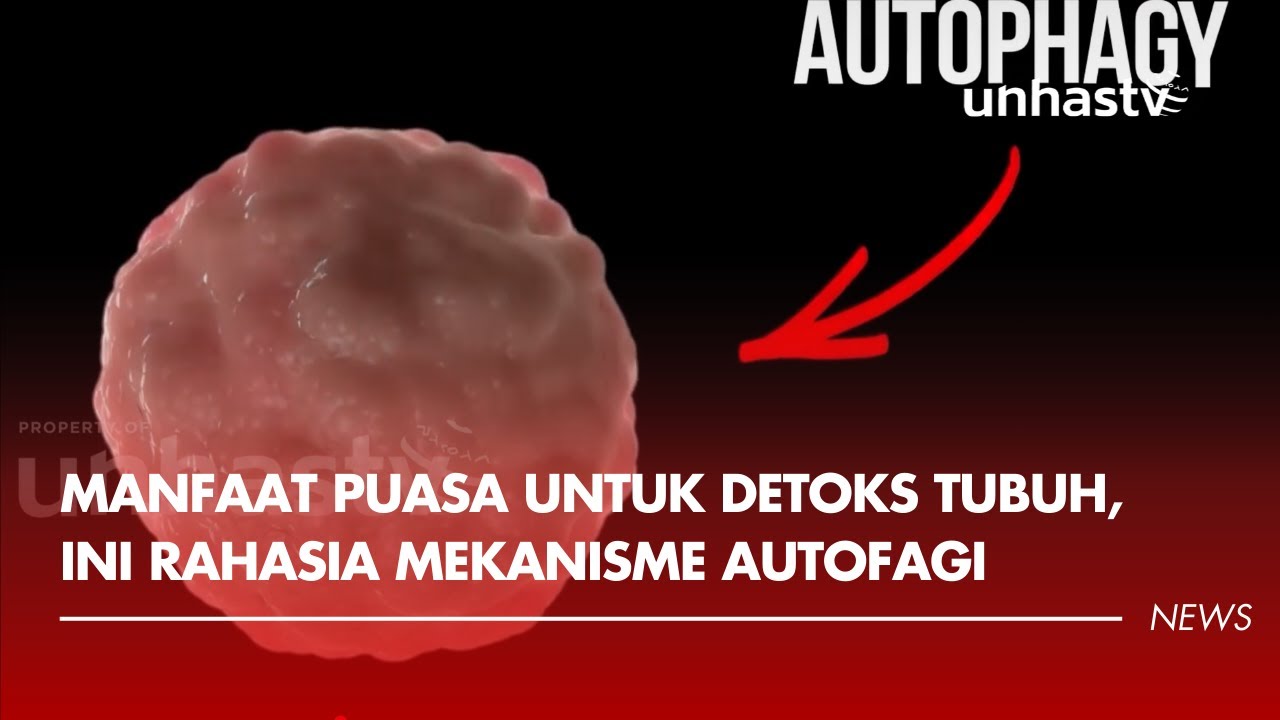 Manfaat Puasa Untuk Detoksifikasi Tubuh, Ini Rahasia Mekanisme Autofagi ...