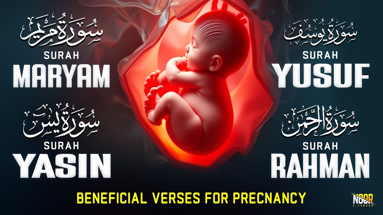SURAH Maryam, Yusuf, Yasin, Rahman | Pregnancy Quran Recitation Full Of ...