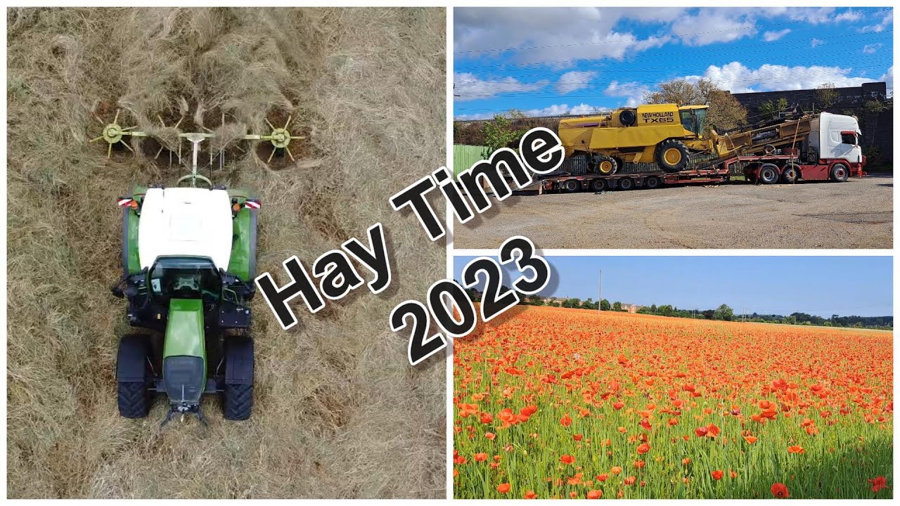 Hay time 2023 - YouTube