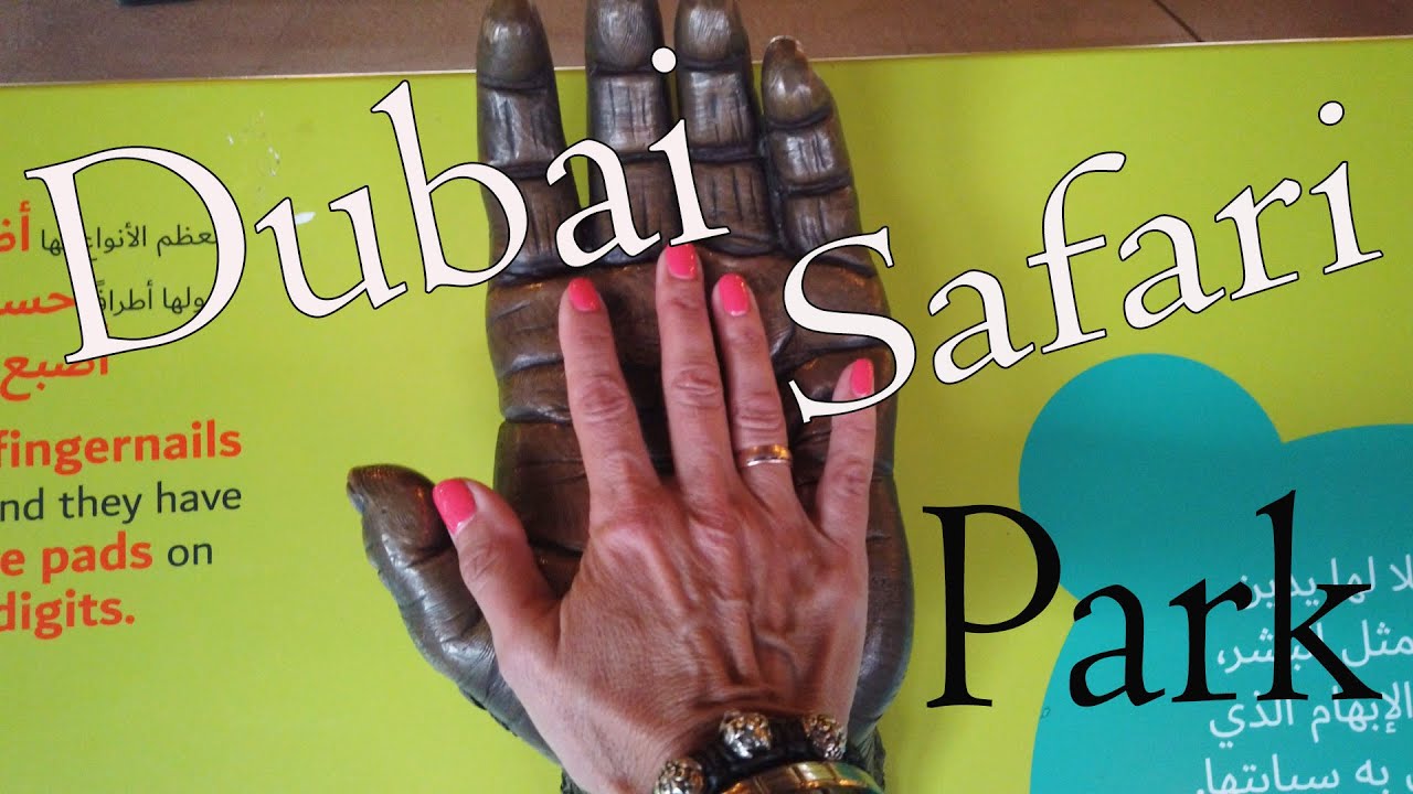 Dubai Safari Park YouTube dubai-safari-park-youtube