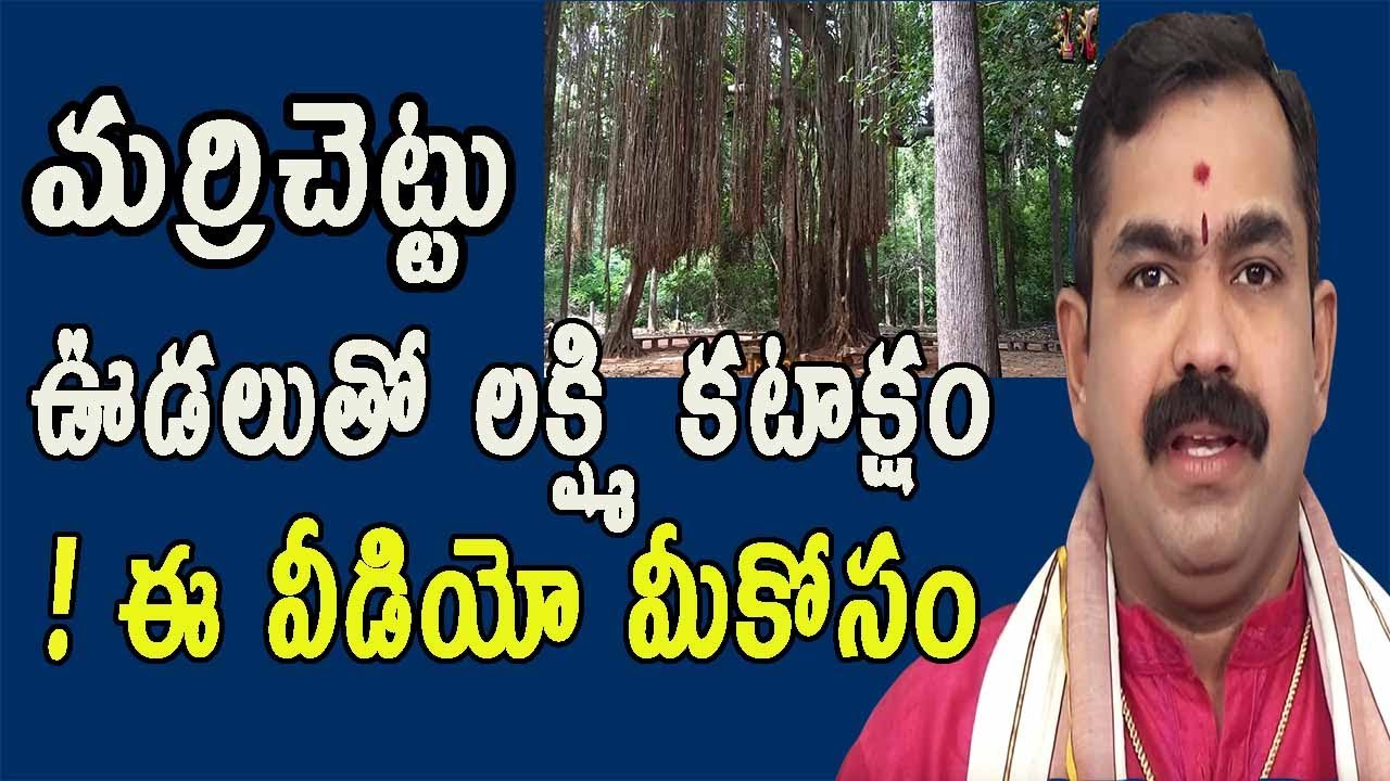 మర్రిచెట్టు ఉడలుతో లక్ష్మి కటాక్షం ! Sri Chirravuri | Marri Chettu ...