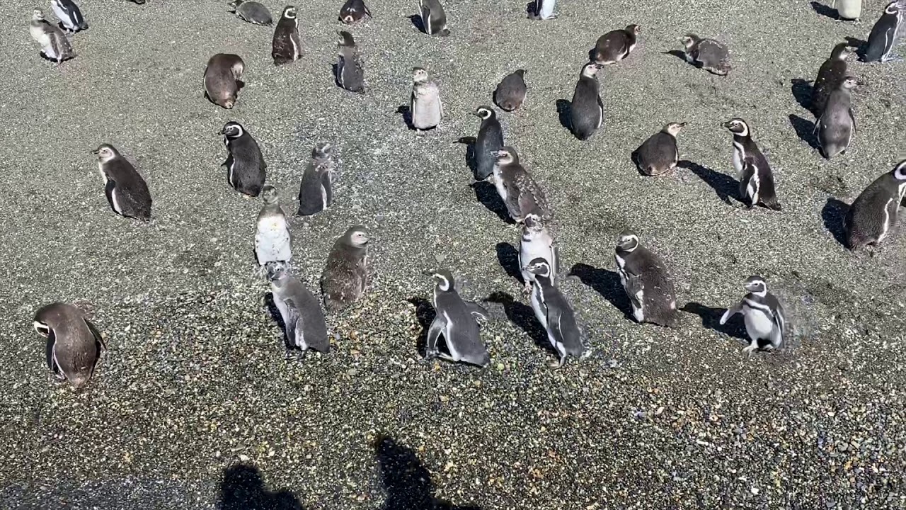 A Passage Of Life: In The Wake of The HMS Beagle - YouTube