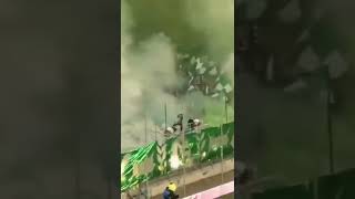 PYRO - KS Lechia Gdańsk - Stal Mielec 30.10.22 by @OFFICIAL PYRO ...