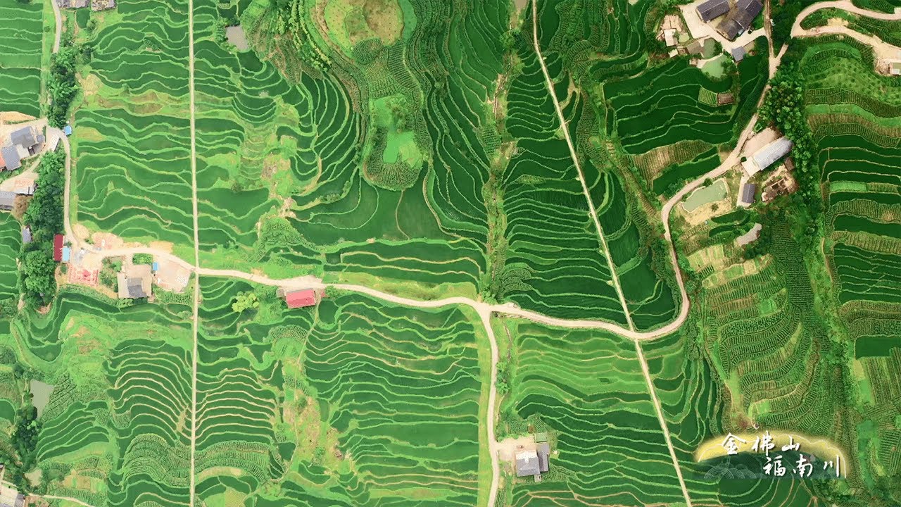 The Wonders of Nanchuan in 90 seconds - YouTube