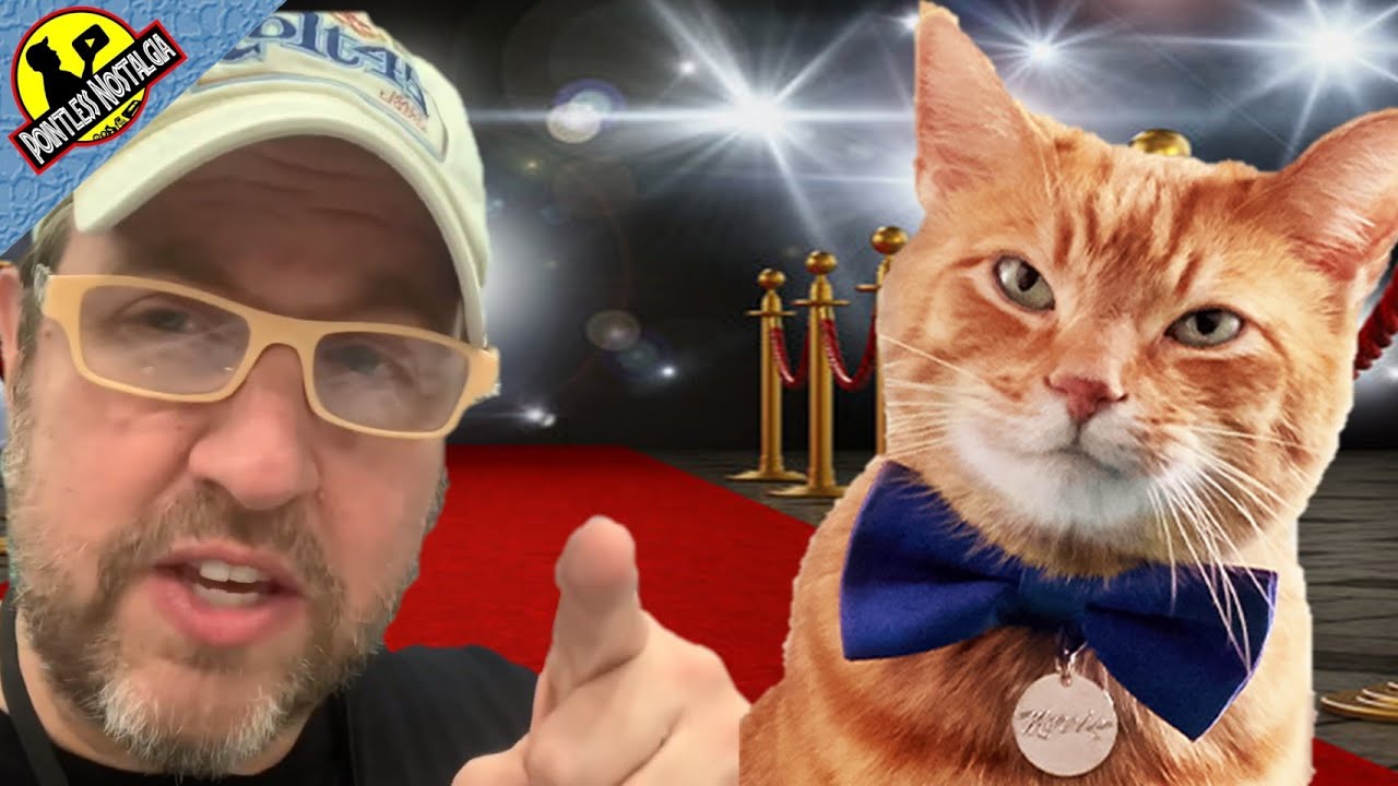 Do you remember Morris the 9 Lives Cat? - YouTube