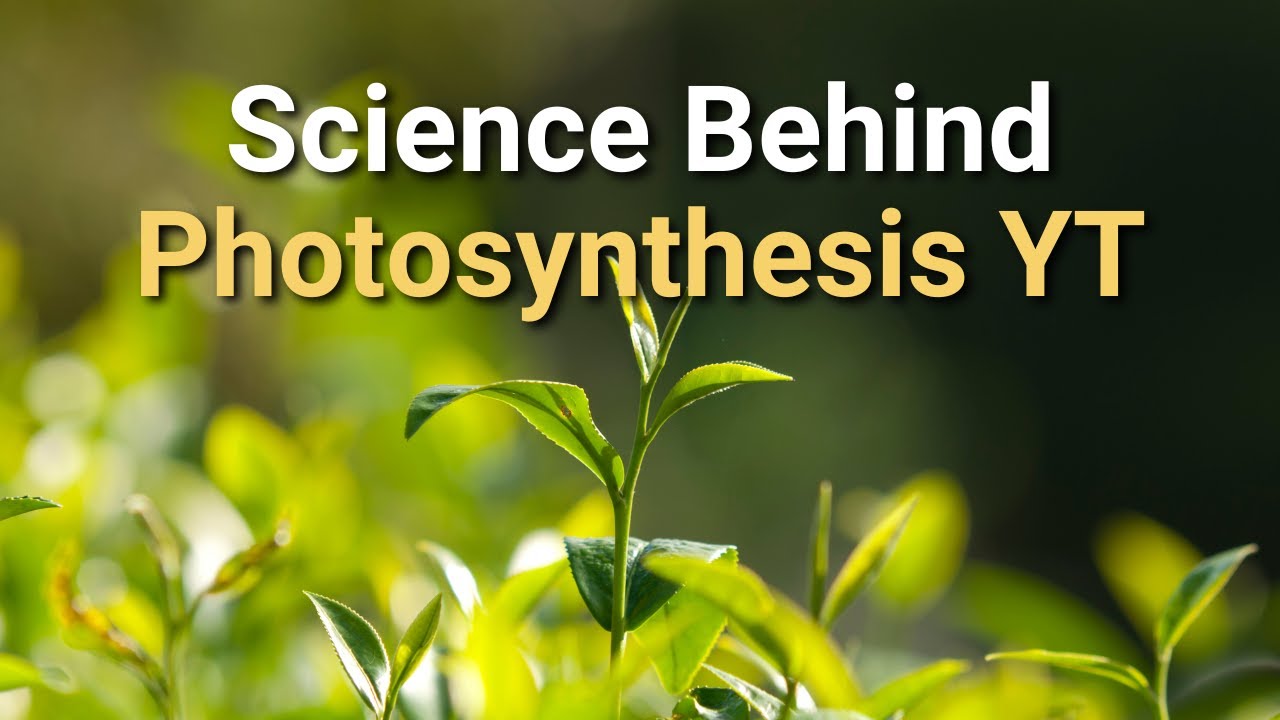 The Science of Photosynthesis: Nature's Energy Factory - YouTube