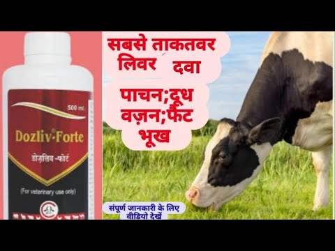 Dozliv forte Nutritional supplements for Animals सभी पशुओं की लगभग ...