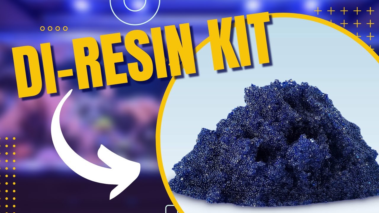 Maintaining An Amazing Reef Aquarium Starts with Water Quality! DI ...