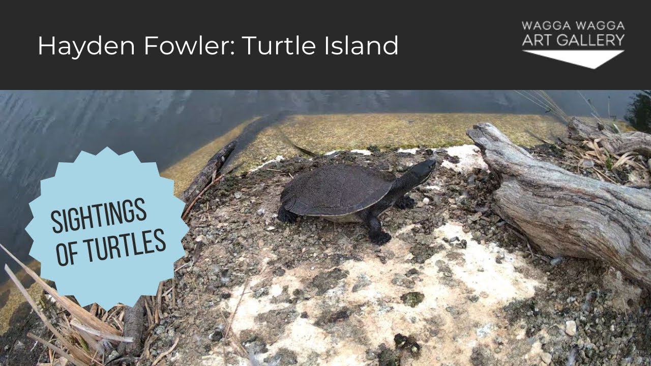 Hayden Fowler: Turtle Island - First sightings of turtles - YouTube