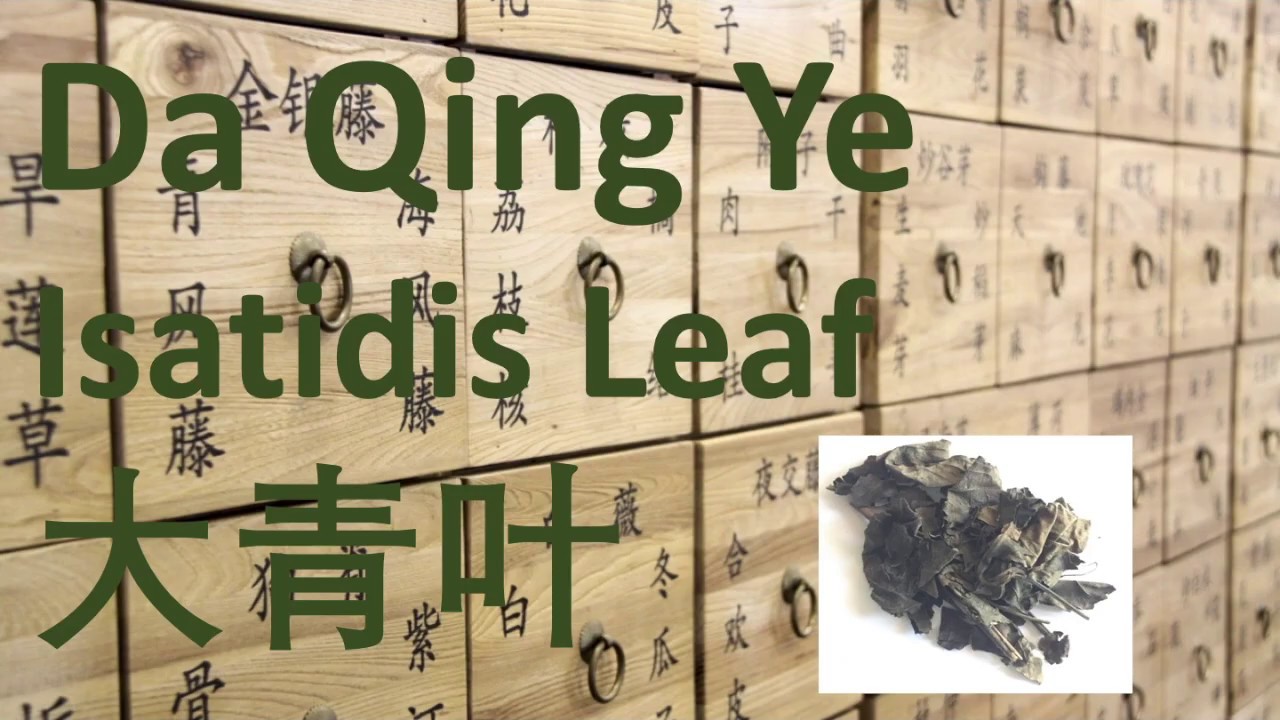 52 Chinese Herbal Medicine, Traditional Chinese Medicine - Da Qing Ye (Isatidis Leaf) 大青叶 - 中医 ...