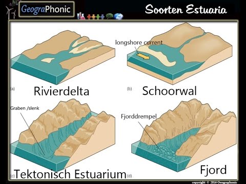 oefening voor Aardrijkskunde : 4 soorten estuaria - YouTube