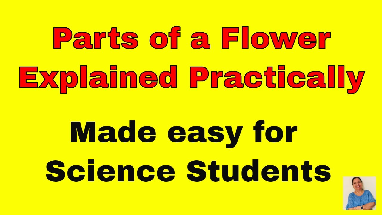 Parts of a Flower I Explained Practically I Science is interesting ...