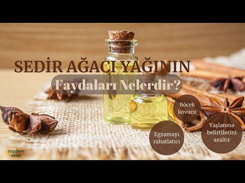 MODERN AKTAR SEDİR AĞACI YAĞI|FAYDALARI NELERDİR?