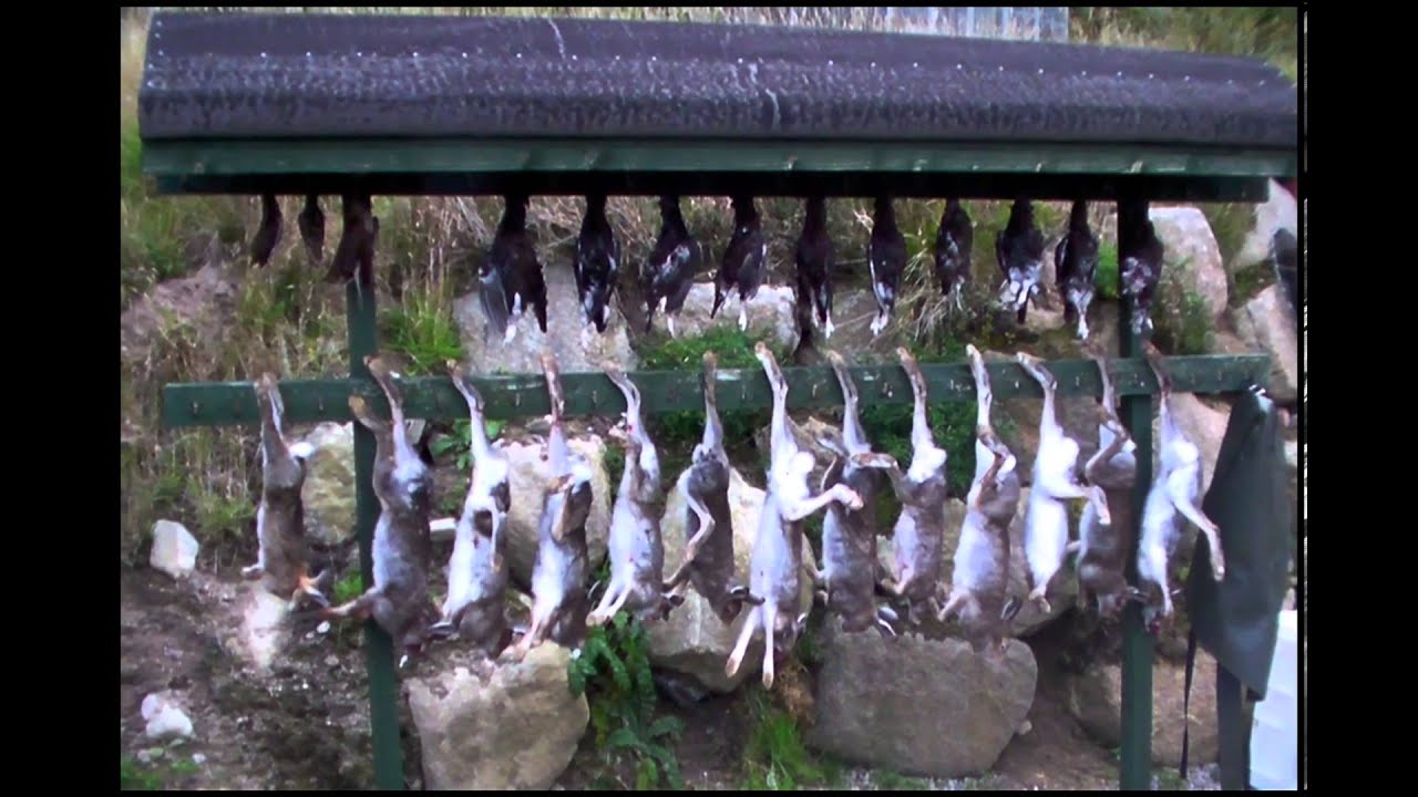 Hunting Scotland - YouTube