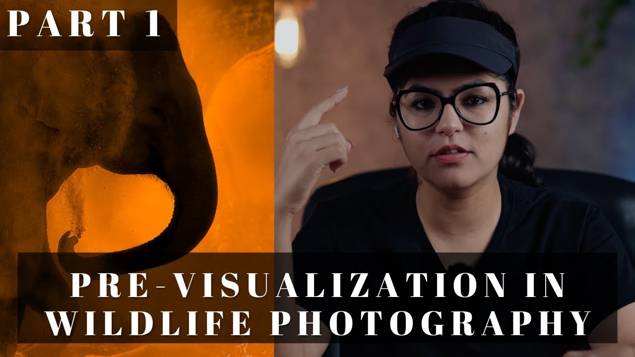 PART 1: Previsualization (Subject Knowledge) | Art of Wildlife ...