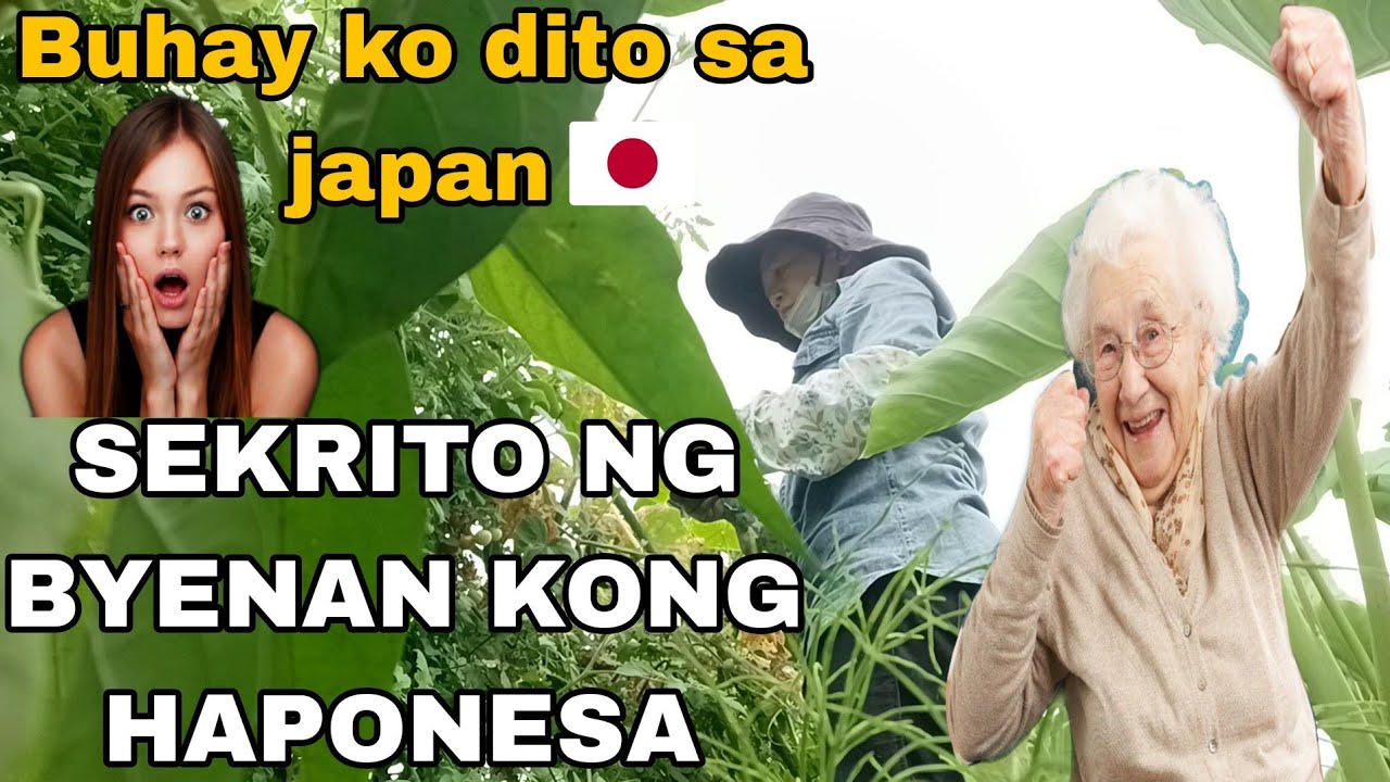 Buhay ko dito sa japan||Secreto ng BYENAN KONG HAPONESA #GARDINLIFE ...