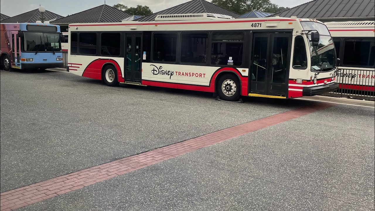 Disney buses - YouTube