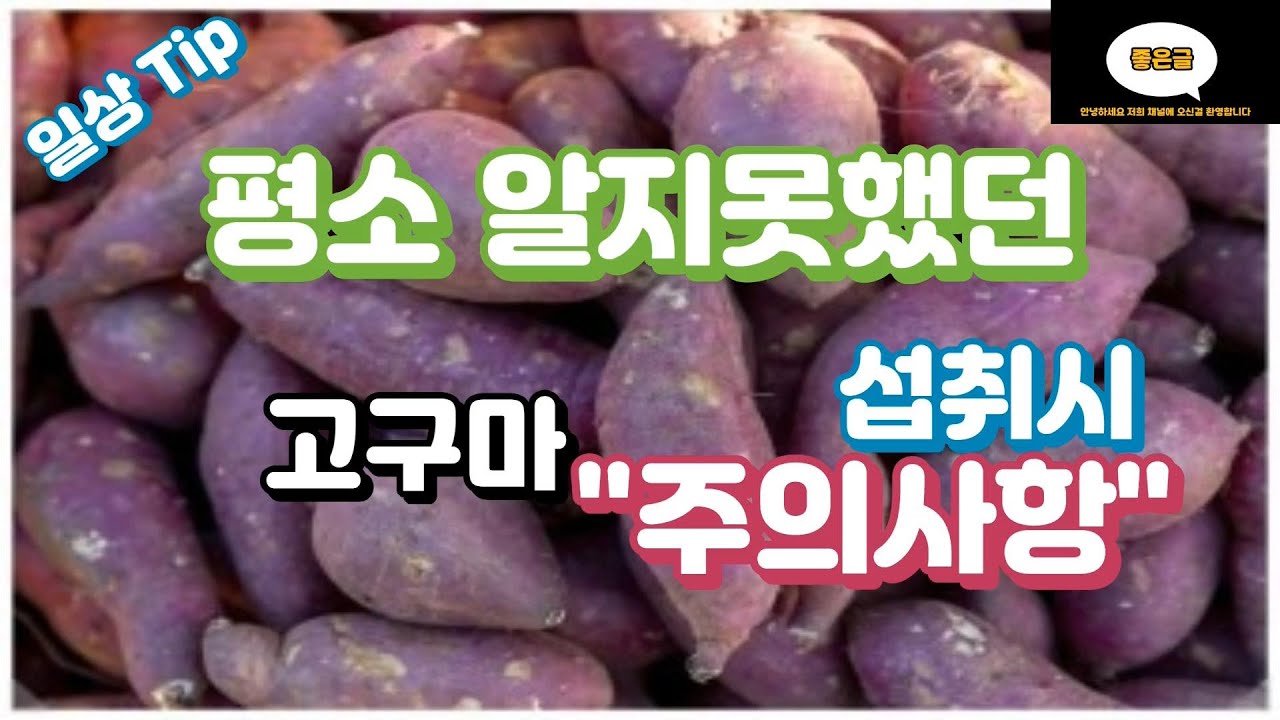 고구마의 효능과 섭취시 주의사항 Youtube