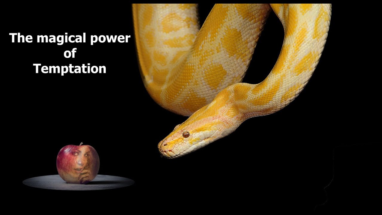 The magical power of temptation. - YouTube