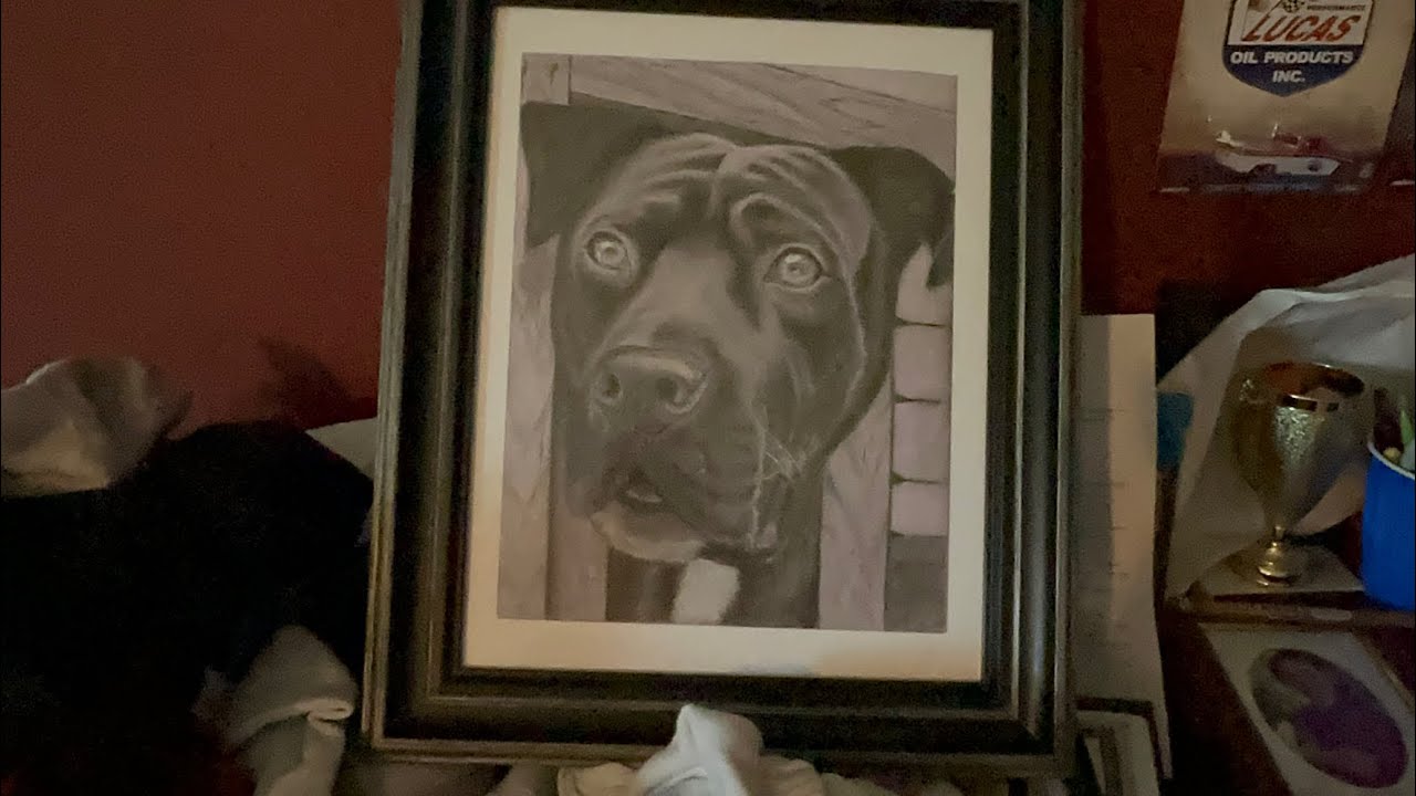 Stunning Artwork of Benny da dog Thank You @CharlieBear5333 💕🐕‍🦺💕 - YouTube