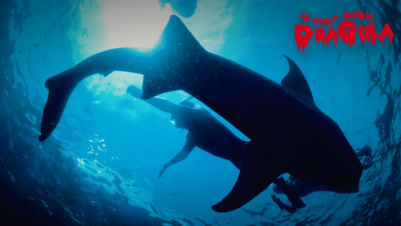 Drag Artists Swim with Sharks! | Dragula 666 - YouTube