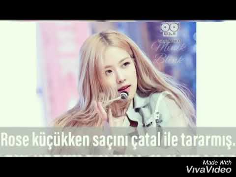 Rosé hakkında bilgiler