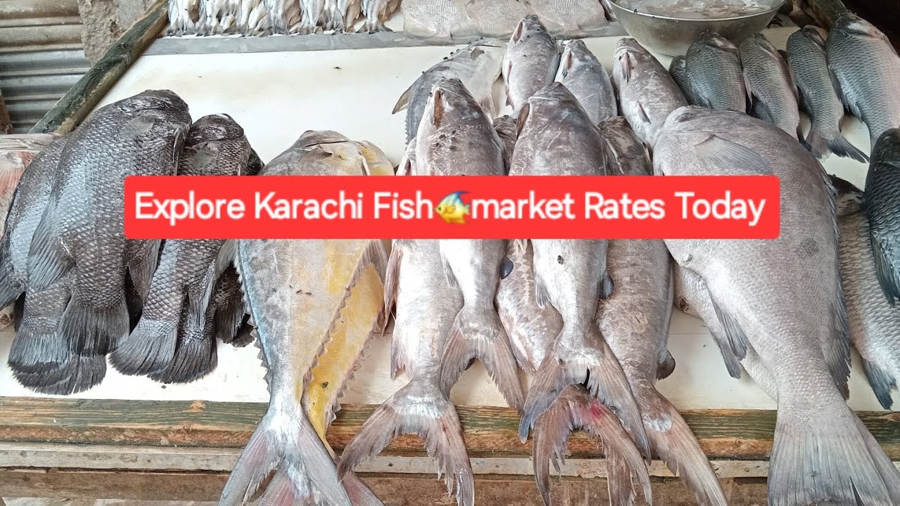 Explore Karachi Fish 🐠Market Rates Today |Karachi Seafood Price Updates ...