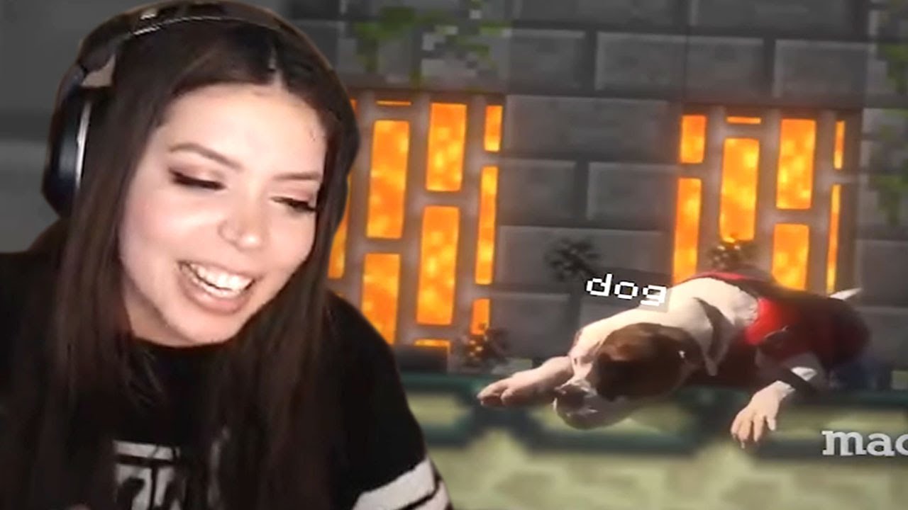 Adept Reacts to UNUSUAL MEMES COMPILATION V81 - YouTube