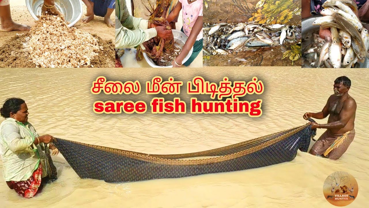 fishing with saree || selai fish hunting | The easiest way to catch ...