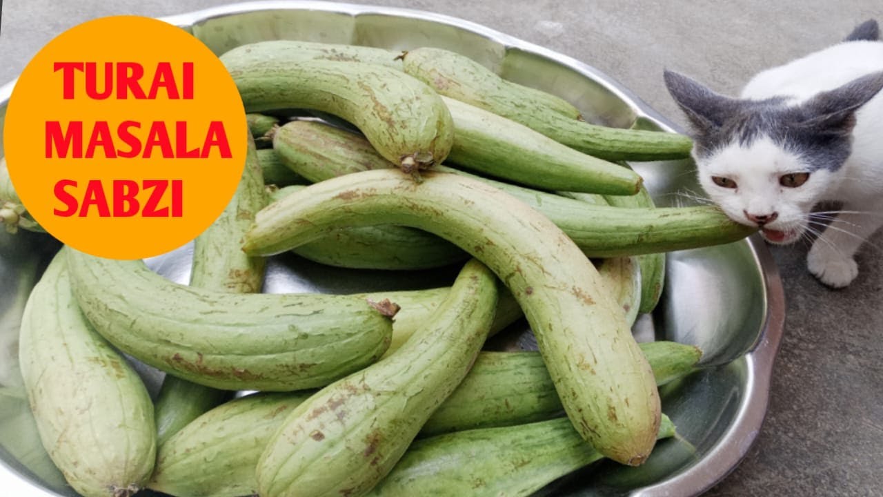 Turai Masala sabji | Spicy Turai Ki Sabji | Turi ki sabji | Vegetable ...