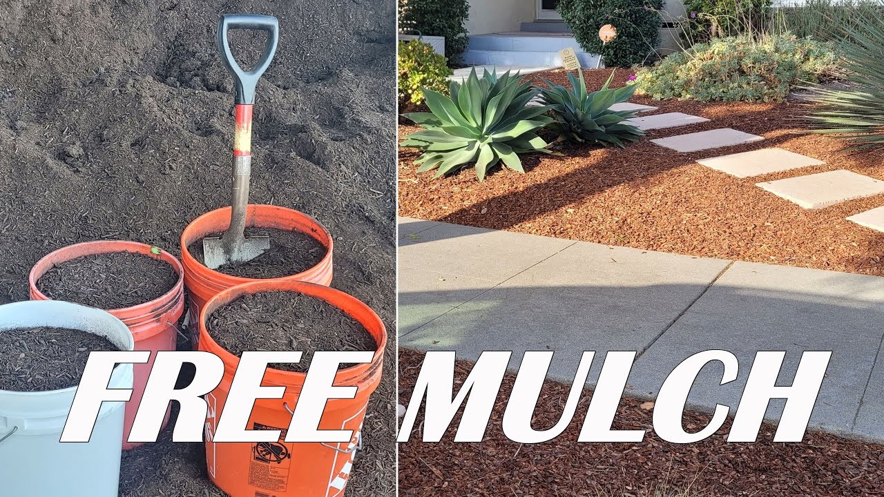 How To Get FREE MULCH | LA City Sanitation’s Free Mulch Giveaway | Free ...