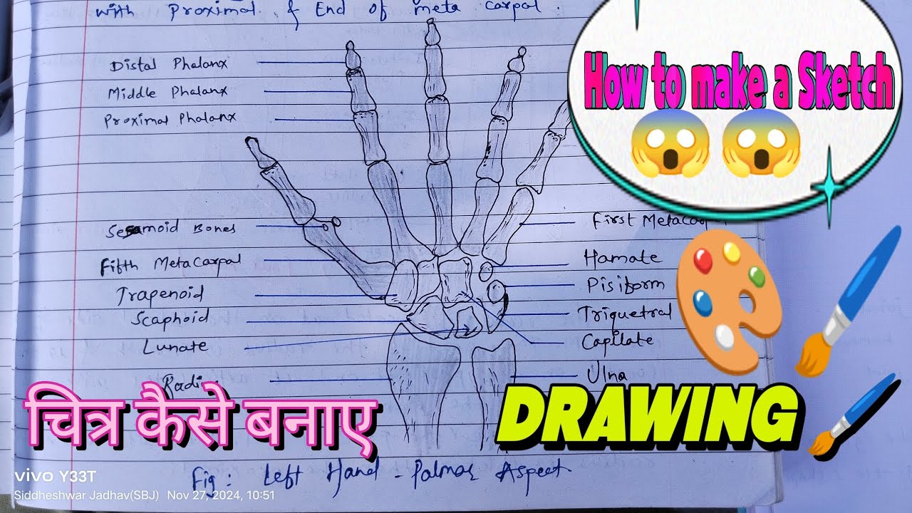 🔥Sketch Of Left Hand-Palmer Aspect || बाएँ हाथ का पंजा का चित्र || # ...