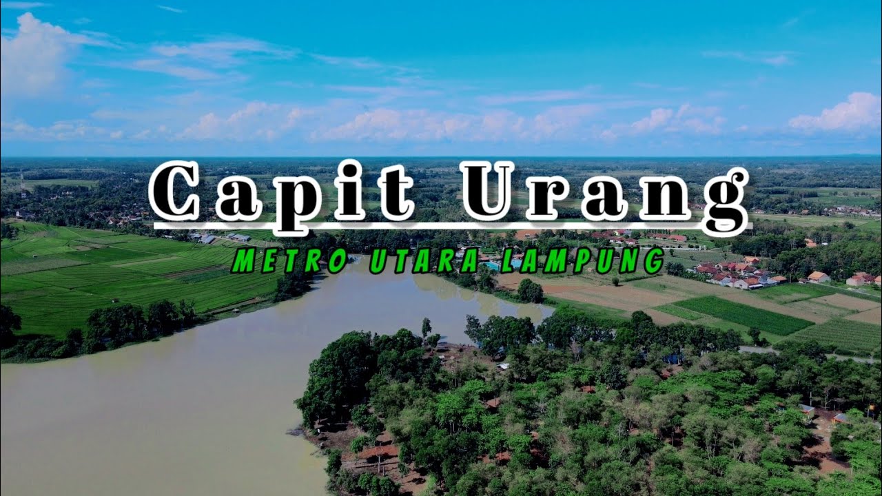 Capit Urang Metro Utara Lampung | Cinematic Drone | Menua Bersamamu ...