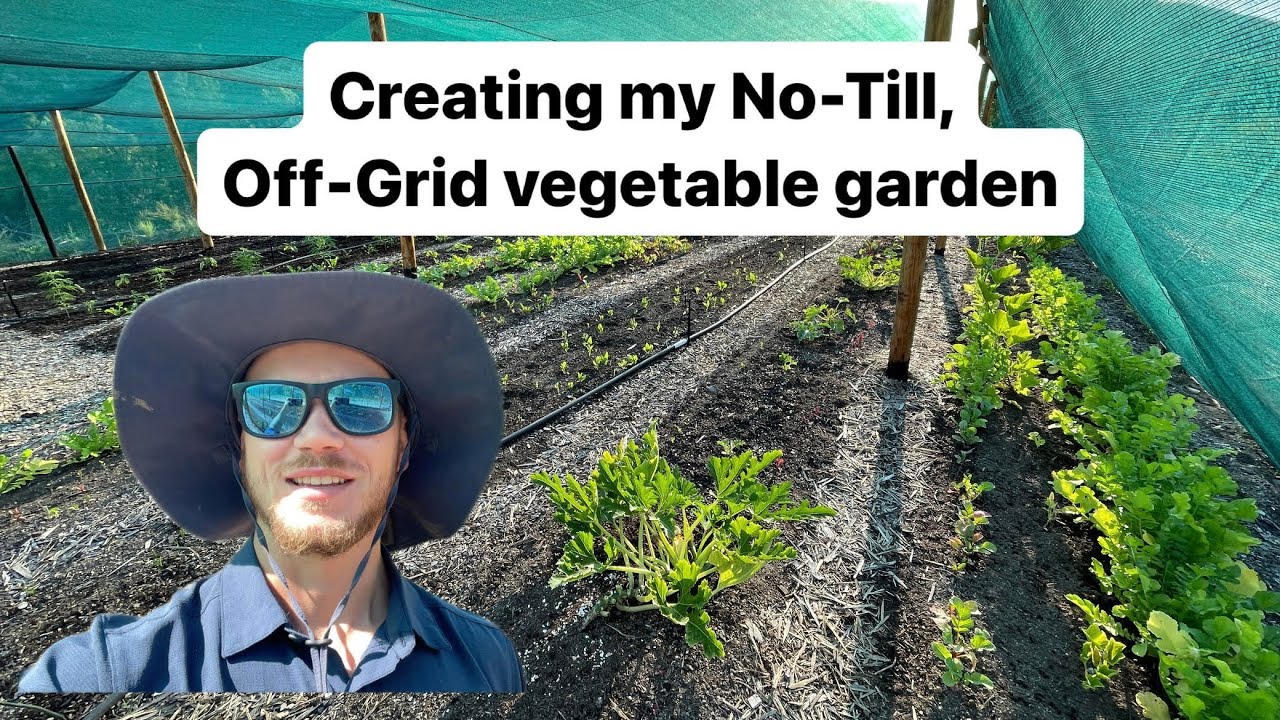 Takamma Agriculture - Episode 6: Creating my No-till, Off-Grid ...