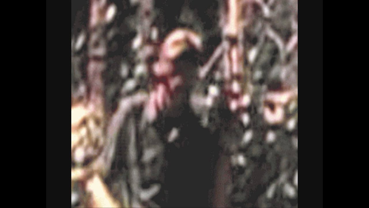 Patterson film...who took the footage..wmv - YouTube